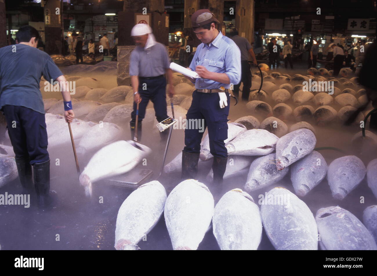 Tuna Fish at the Tsukiji Fishmarket in the City of Tokyo in Japan in ...
