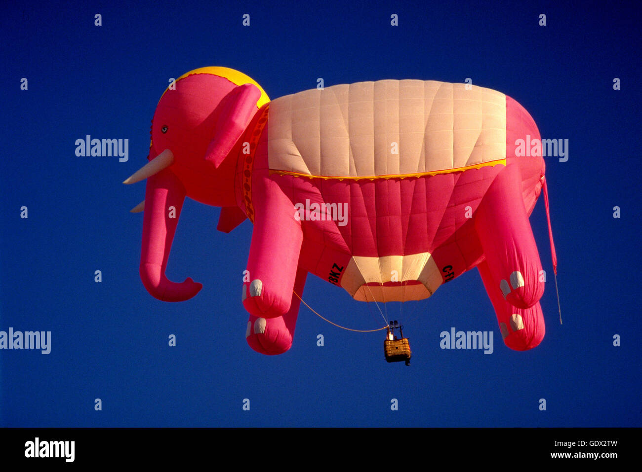 Flying pink elephant hi-res stock photography and images - Alamy