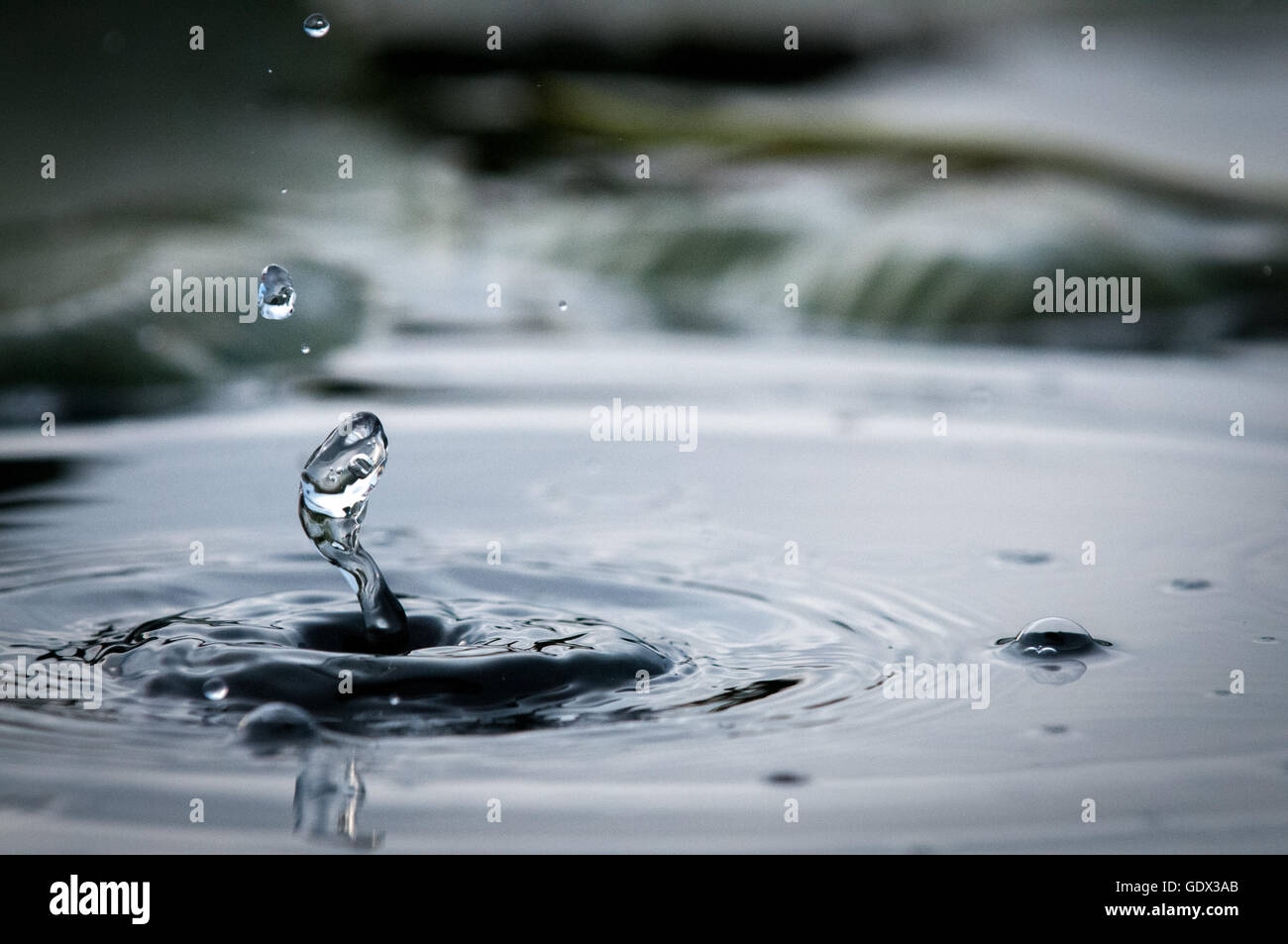 Water dripping into a pond in the evening light Stock Photo - Alamy