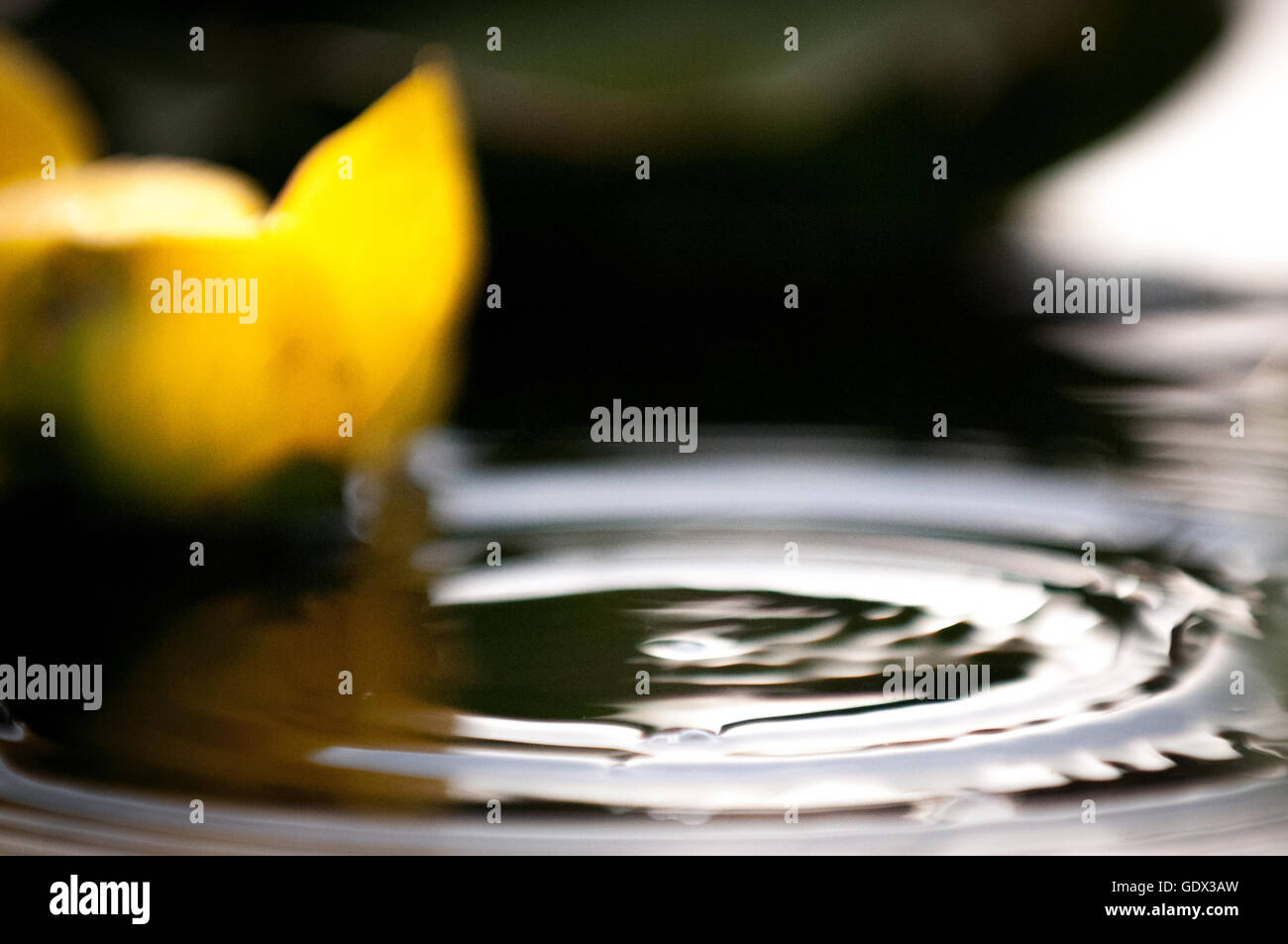 Abstract Water Motion From Water Droplet Falling Into Pond Stock Photo ...