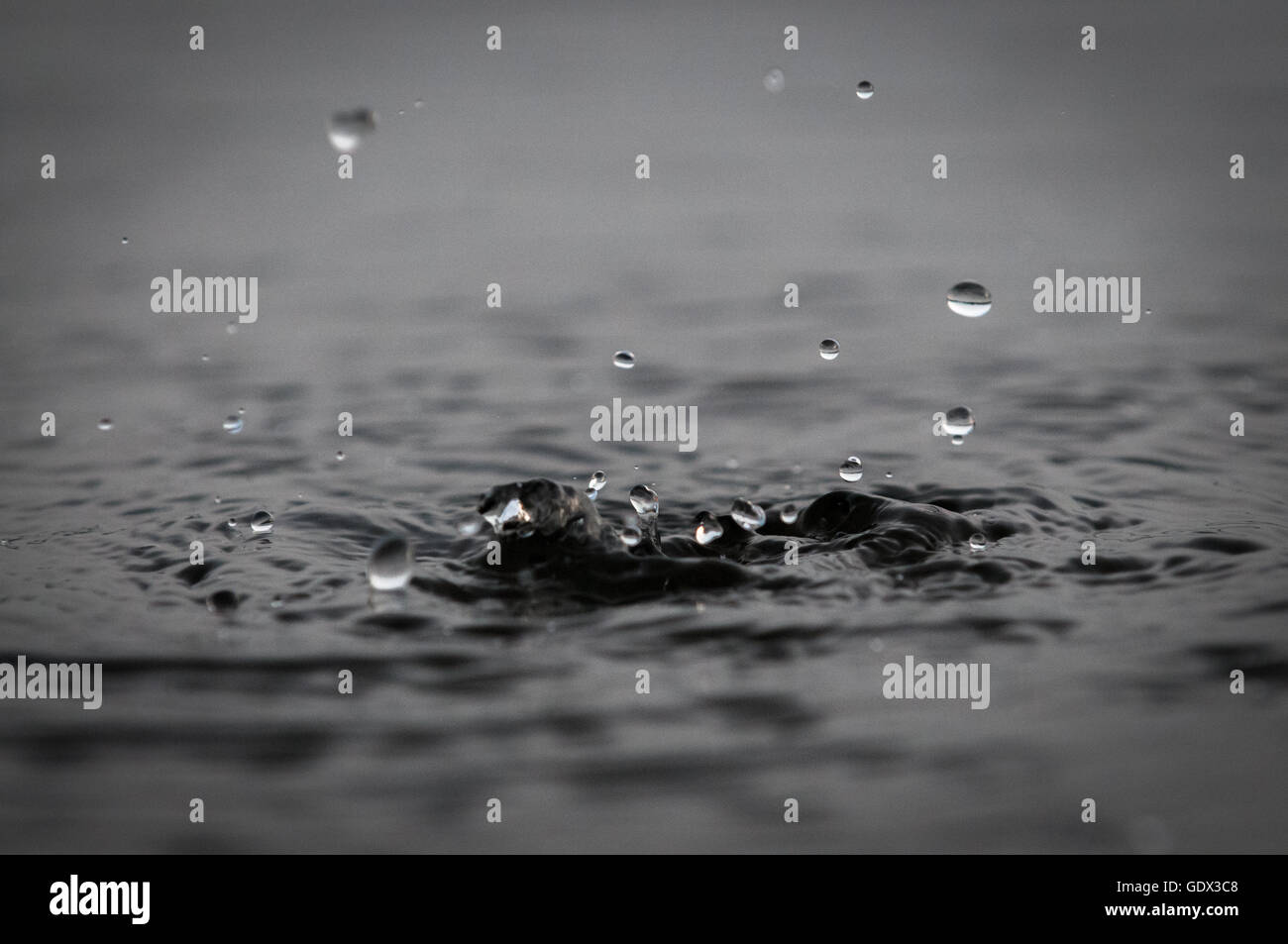 Water dripping into a pond in the evening light Stock Photo - Alamy