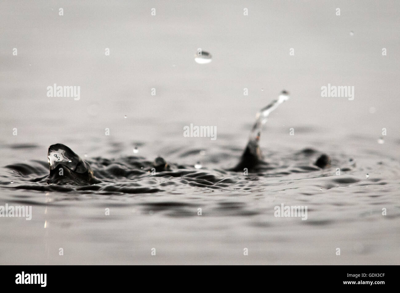 Drip in the light hi-res stock photography and images - Alamy
