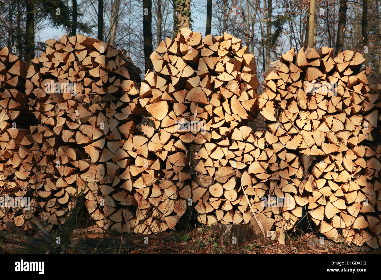 Chopped wood stacked hi-res stock photography and images - Alamy