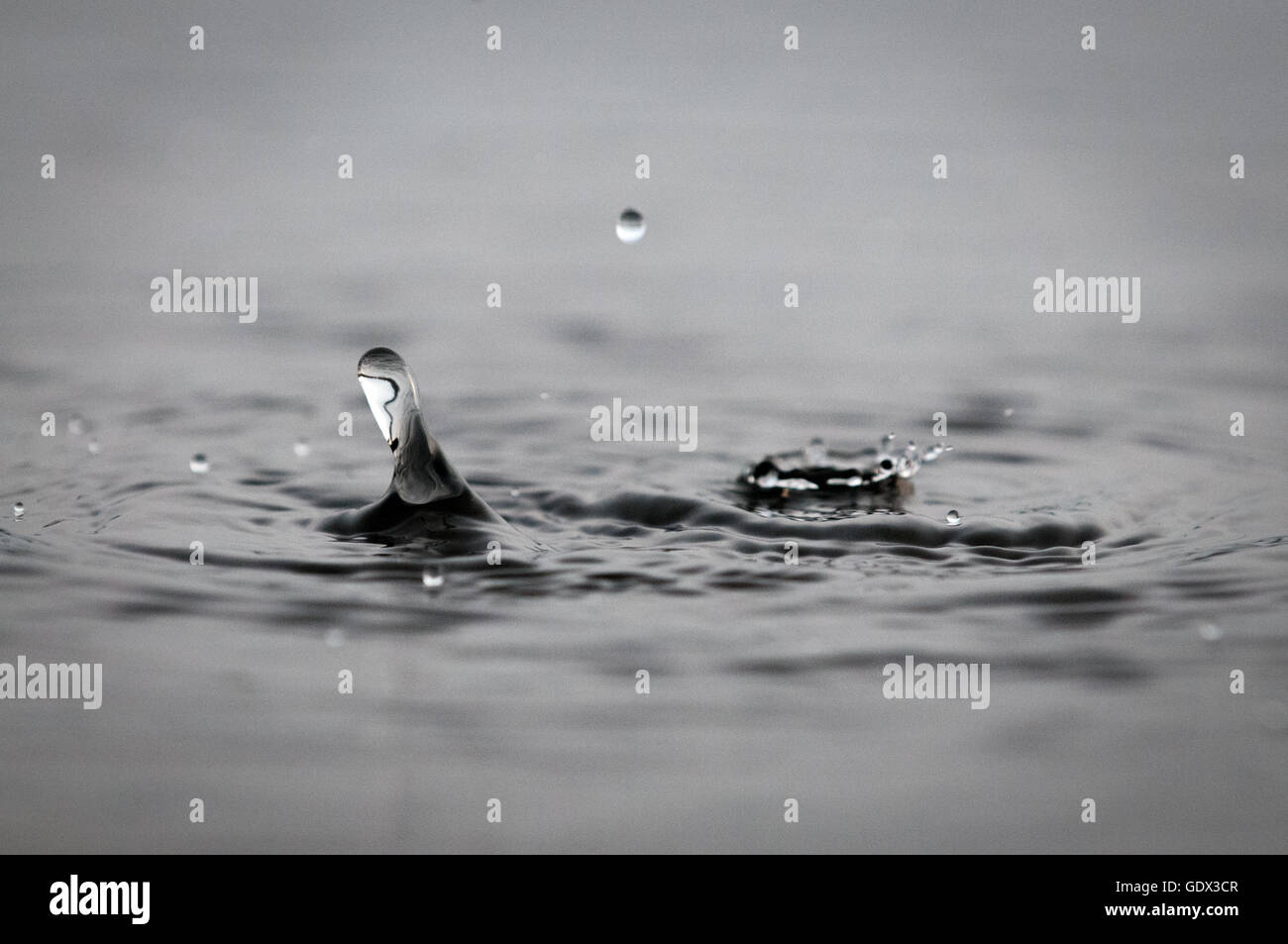 Water dripping into a pond in the evening light Stock Photo - Alamy