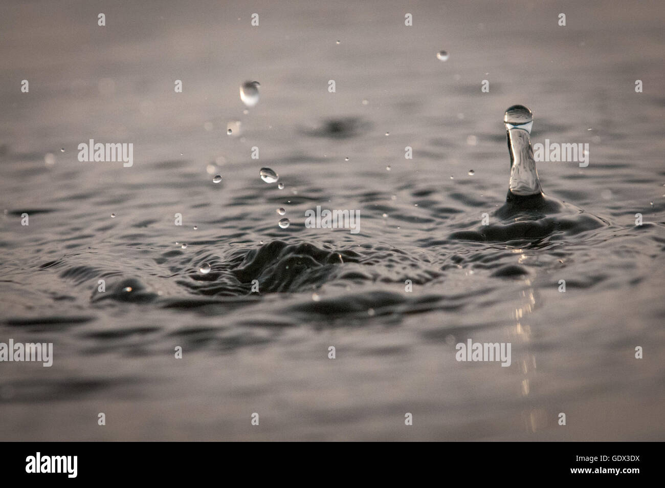 Drip in the light hi-res stock photography and images - Alamy