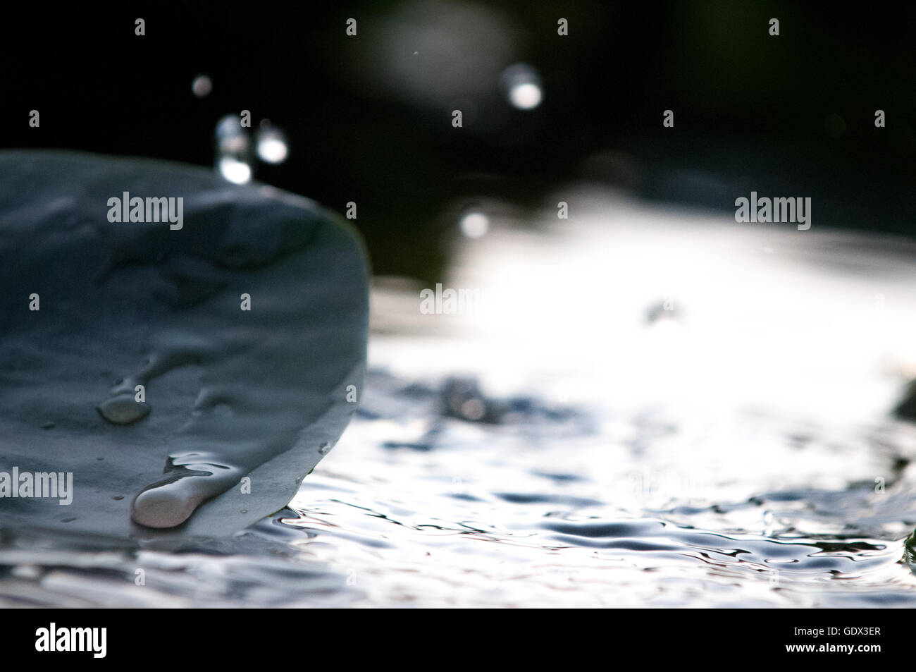 Abstract Water Motion From Water Droplet Falling Into Pond Stock Photo ...