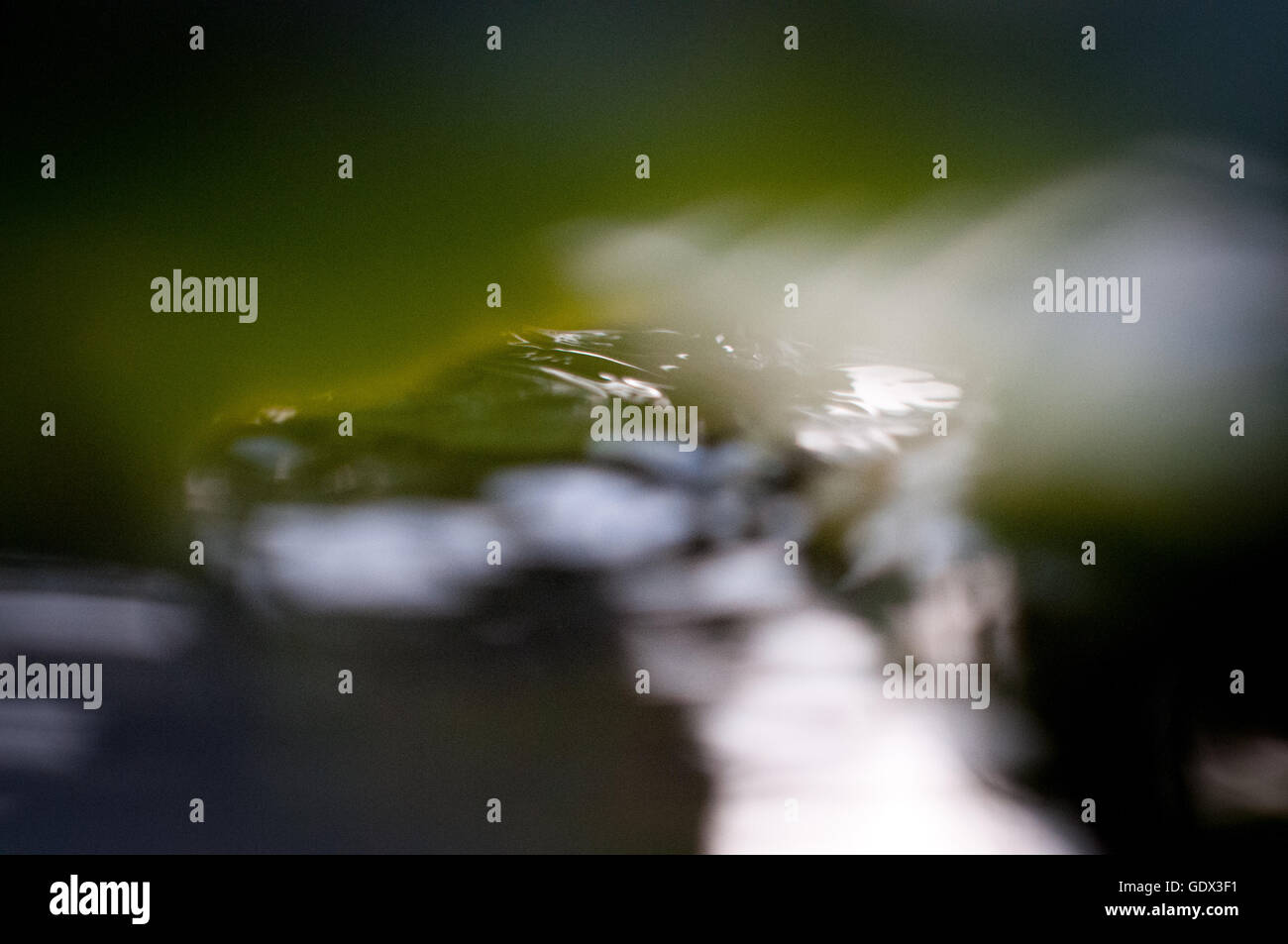 Abstract Water Motion From Water Droplet Falling Into Pond Stock Photo ...