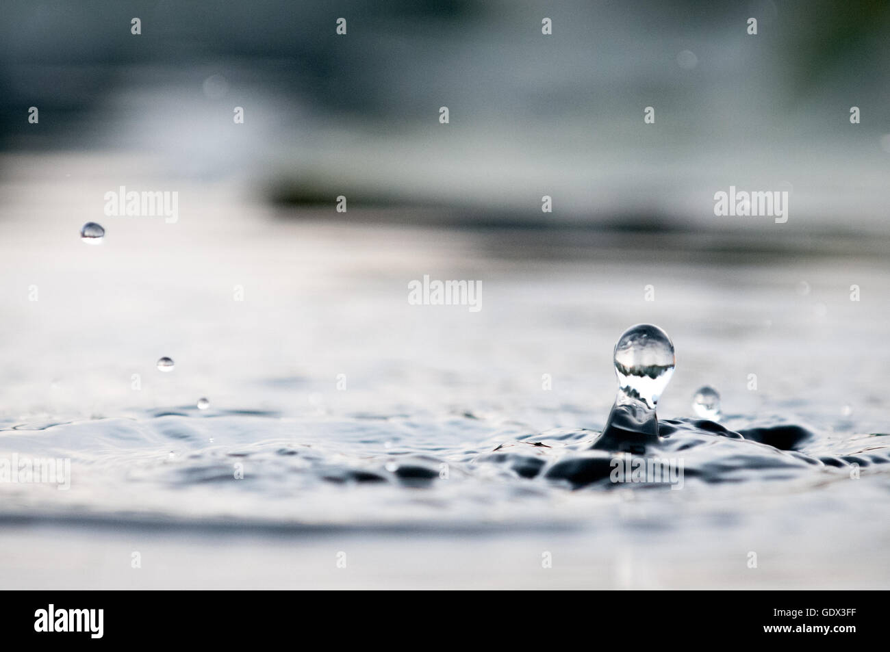 Water dripping into a pond in the evening light Stock Photo - Alamy