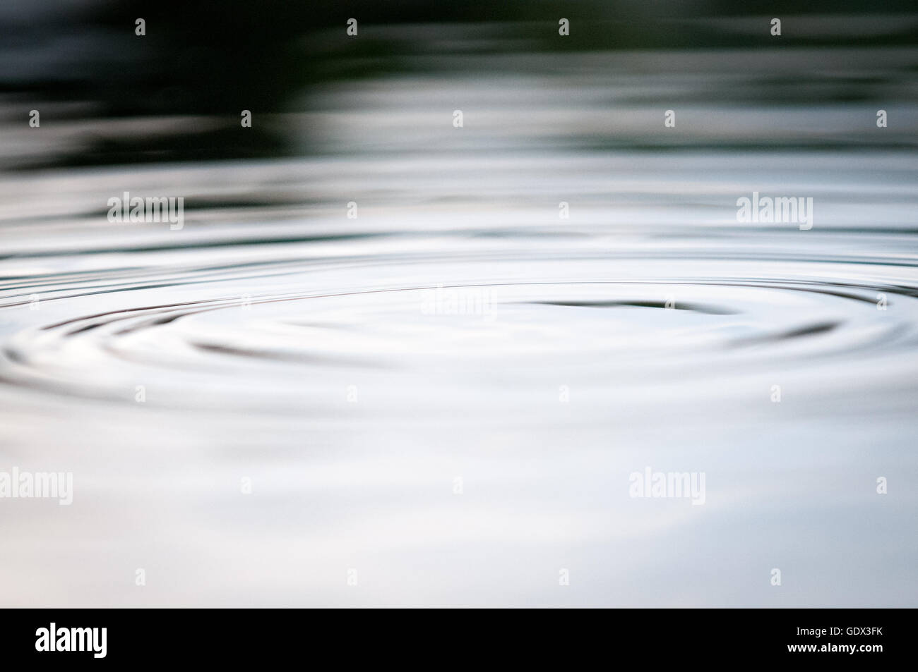 Abstract Water Motion From Water Droplet Falling Into Pond Stock Photo ...