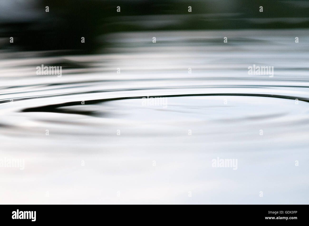 Water droplet falling into pond hi-res stock photography and images - Alamy