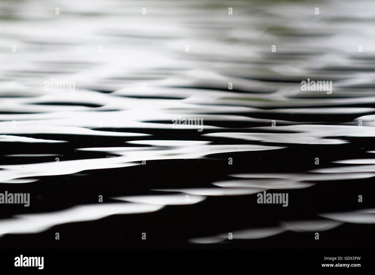 Abstract Water Motion From Water Droplet Falling Into Pond Stock Photo ...