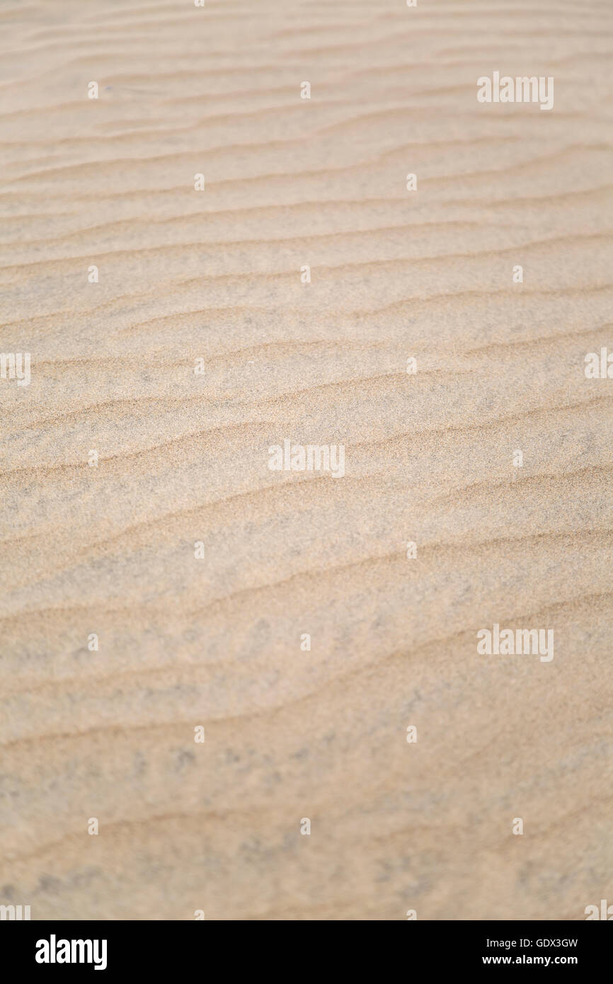 Close up view at sand texture Stock Photo - Alamy