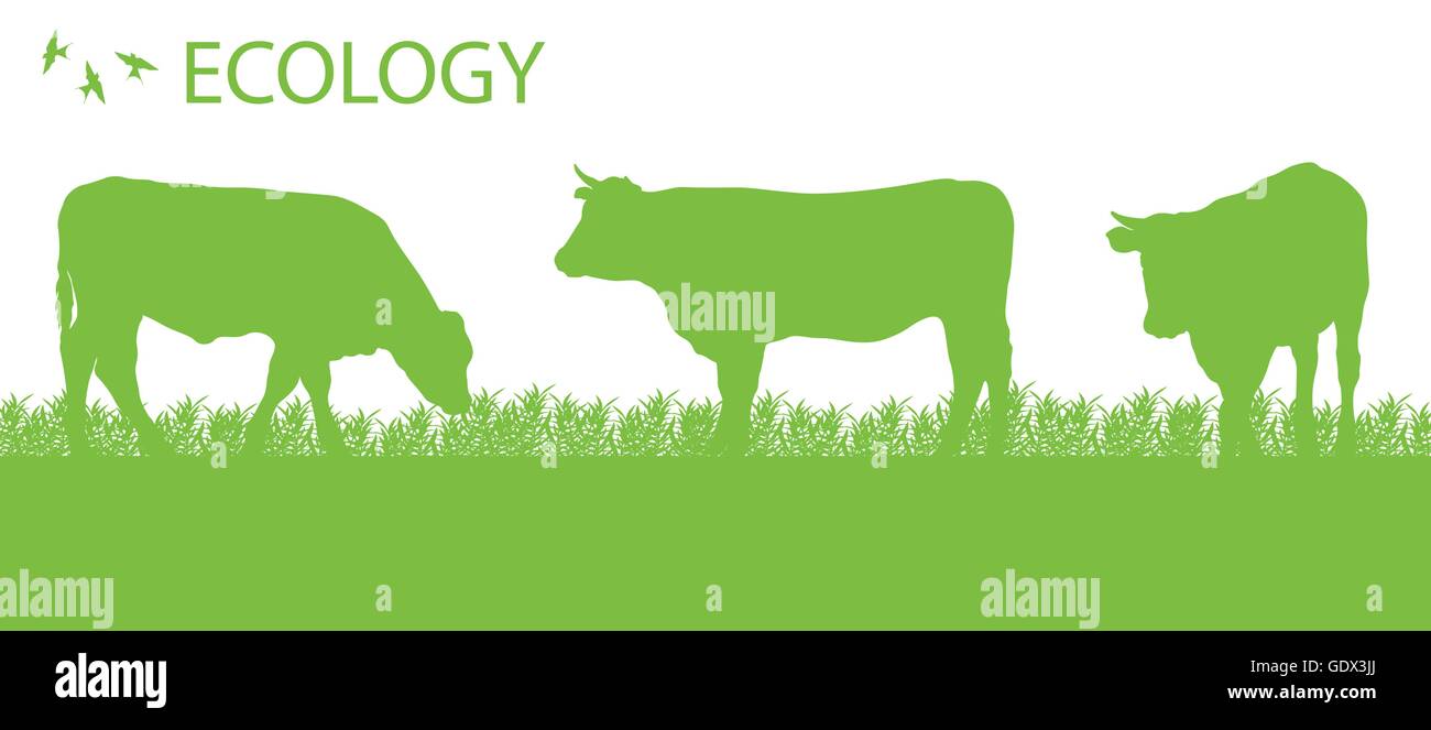 Store cattle ecology background organic farming vector concept Stock ...