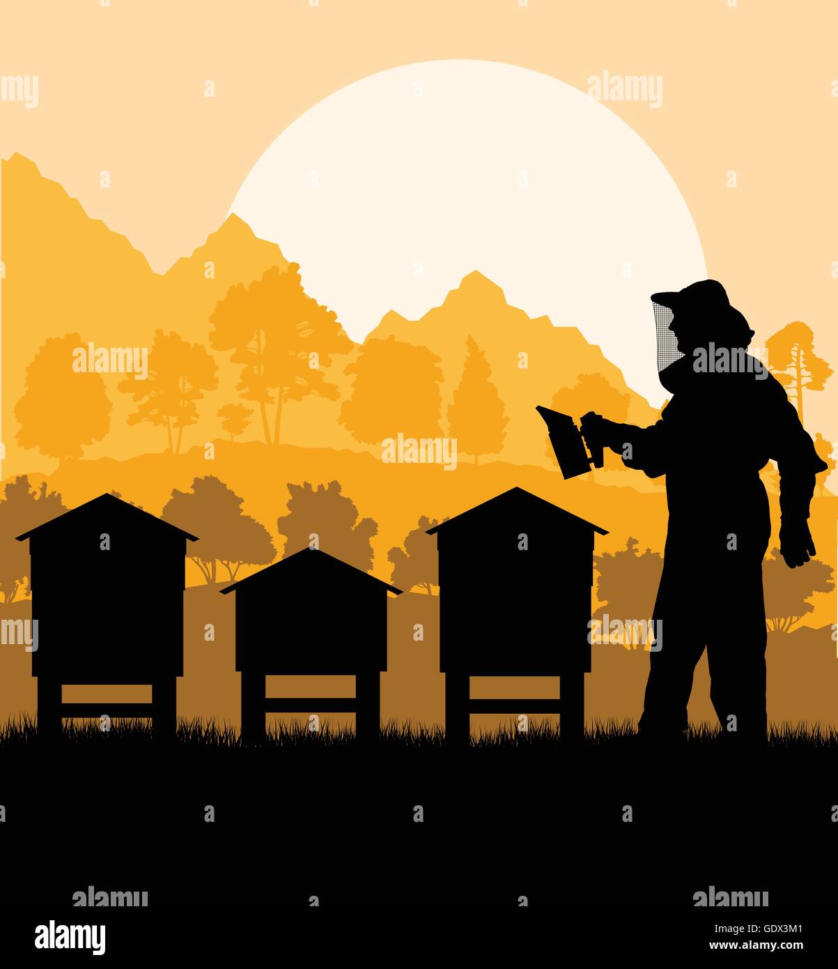 Beekeeper working in his apiary vector background for poster Stock ...