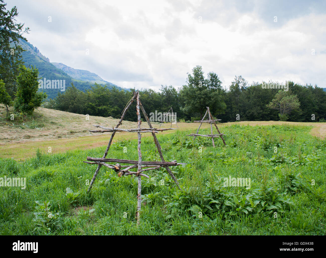 Wooden object on field Stock Photo - Alamy