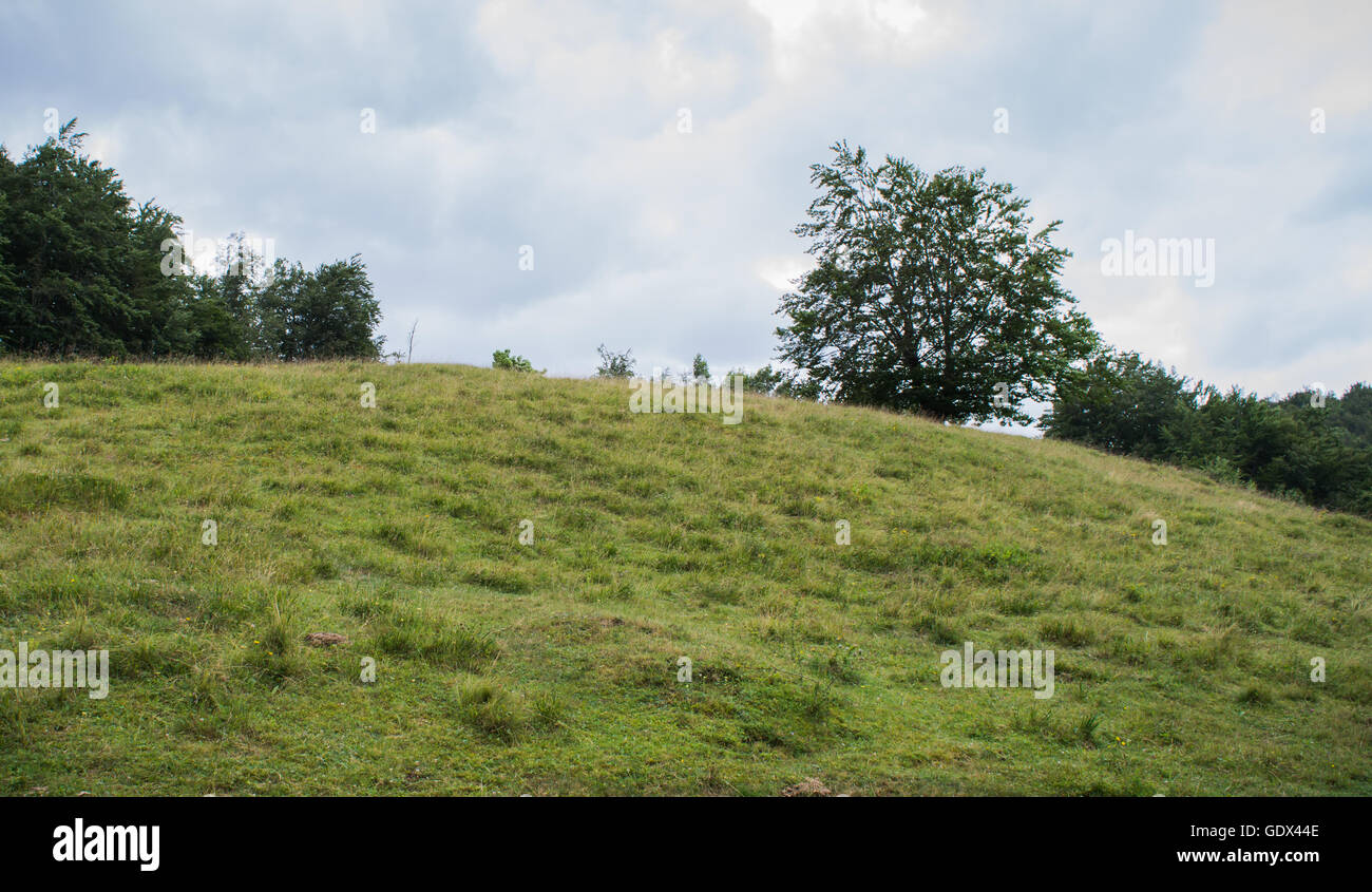 Big green hill with tree hi-res stock photography and images - Alamy