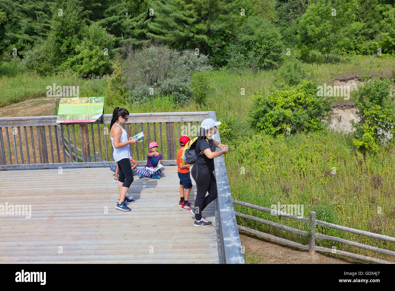 Visitors on the lookout tower at Rouge National Urban Park,Rogue Vally ...
