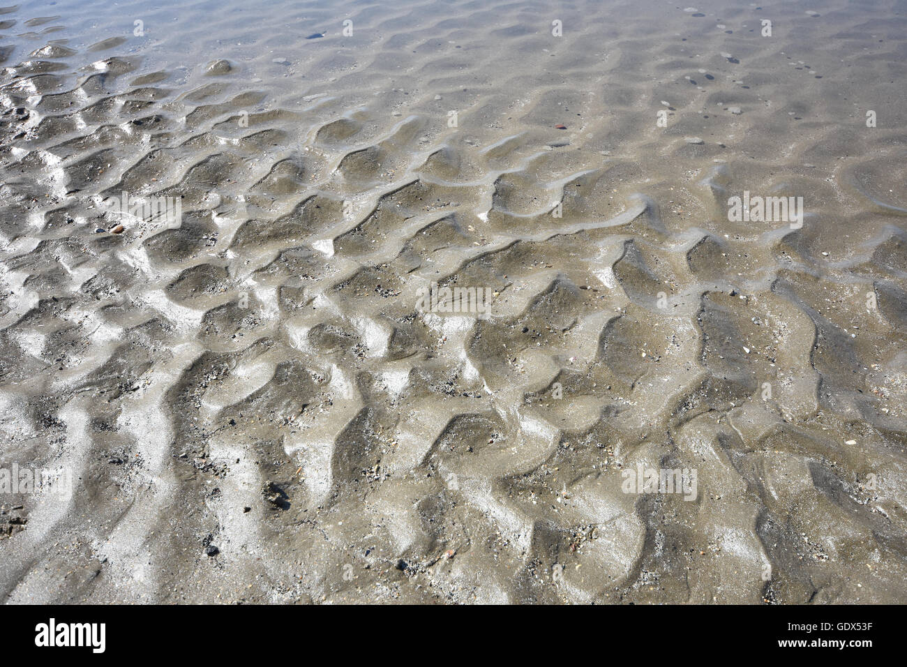 Repeating pattern on muddy beach Stock Photo - Alamy