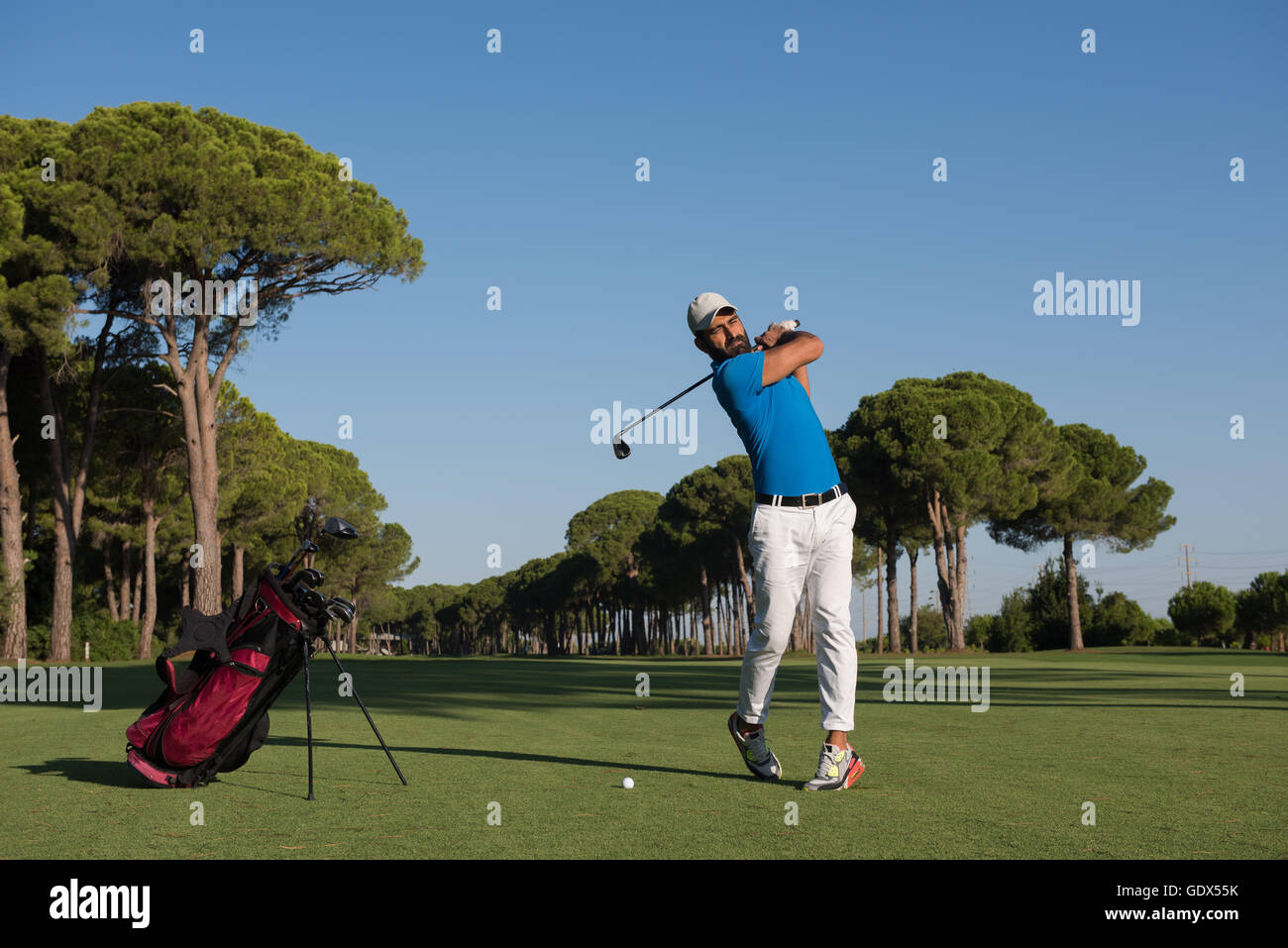 golf player hitting shot with club on course at beautiful morning with ...