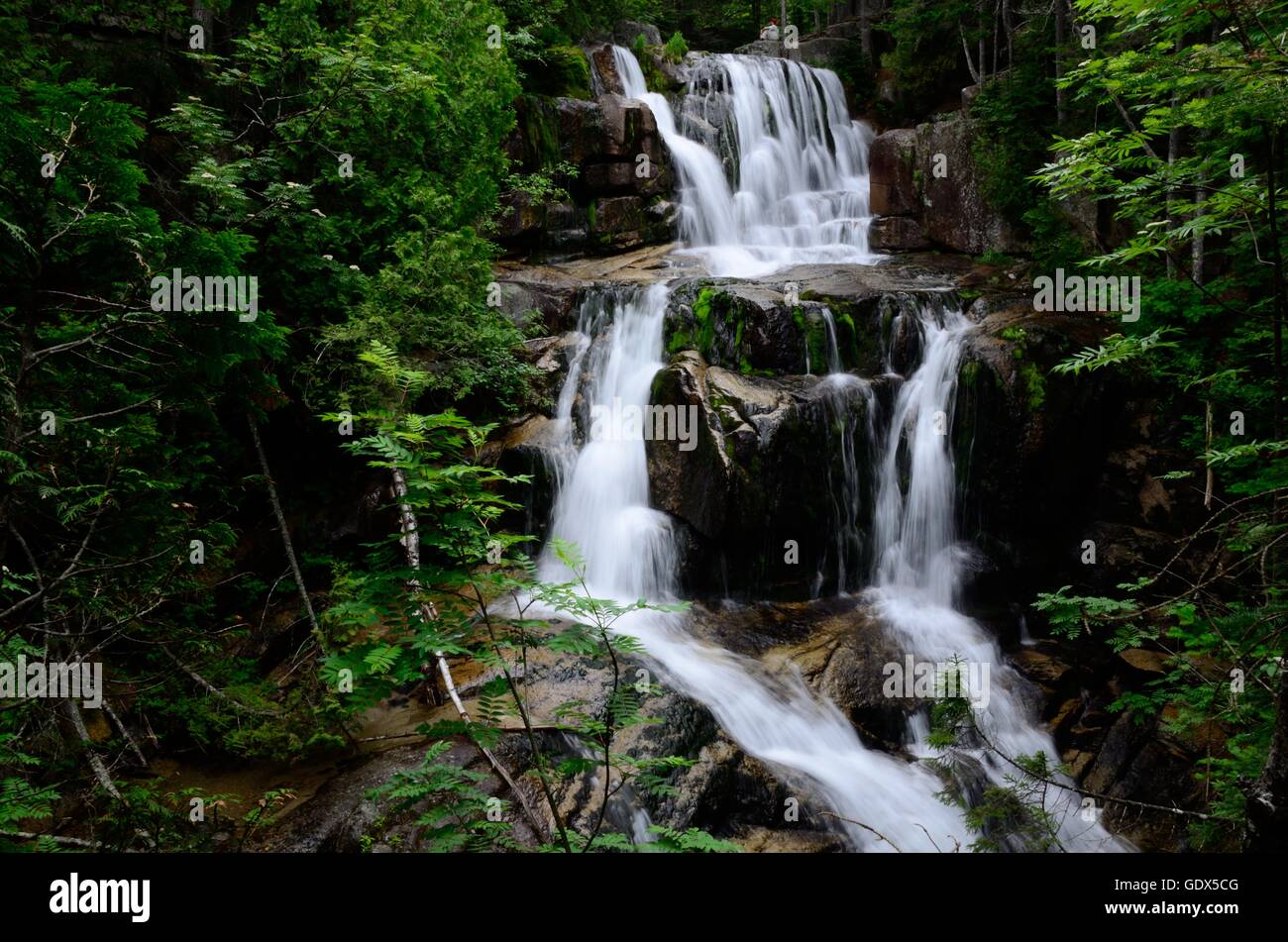 Mountain stream waterfall Stock Photo - Alamy