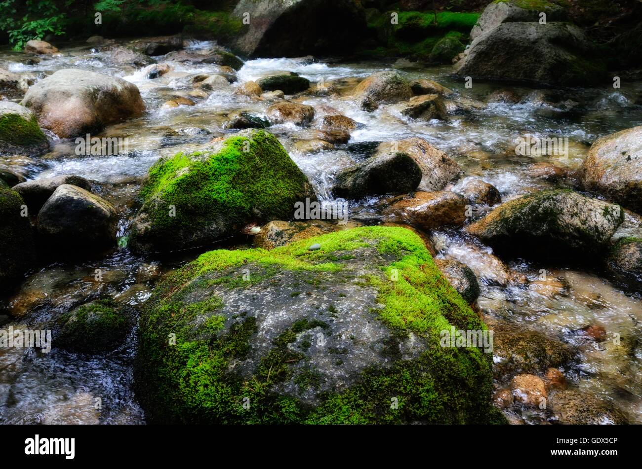 Babbling brook with moss on rock Stock Photo - Alamy