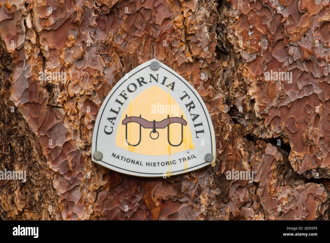 Trail marker along Snowshoe Thompson Trail, Toiyabe National Forest ...