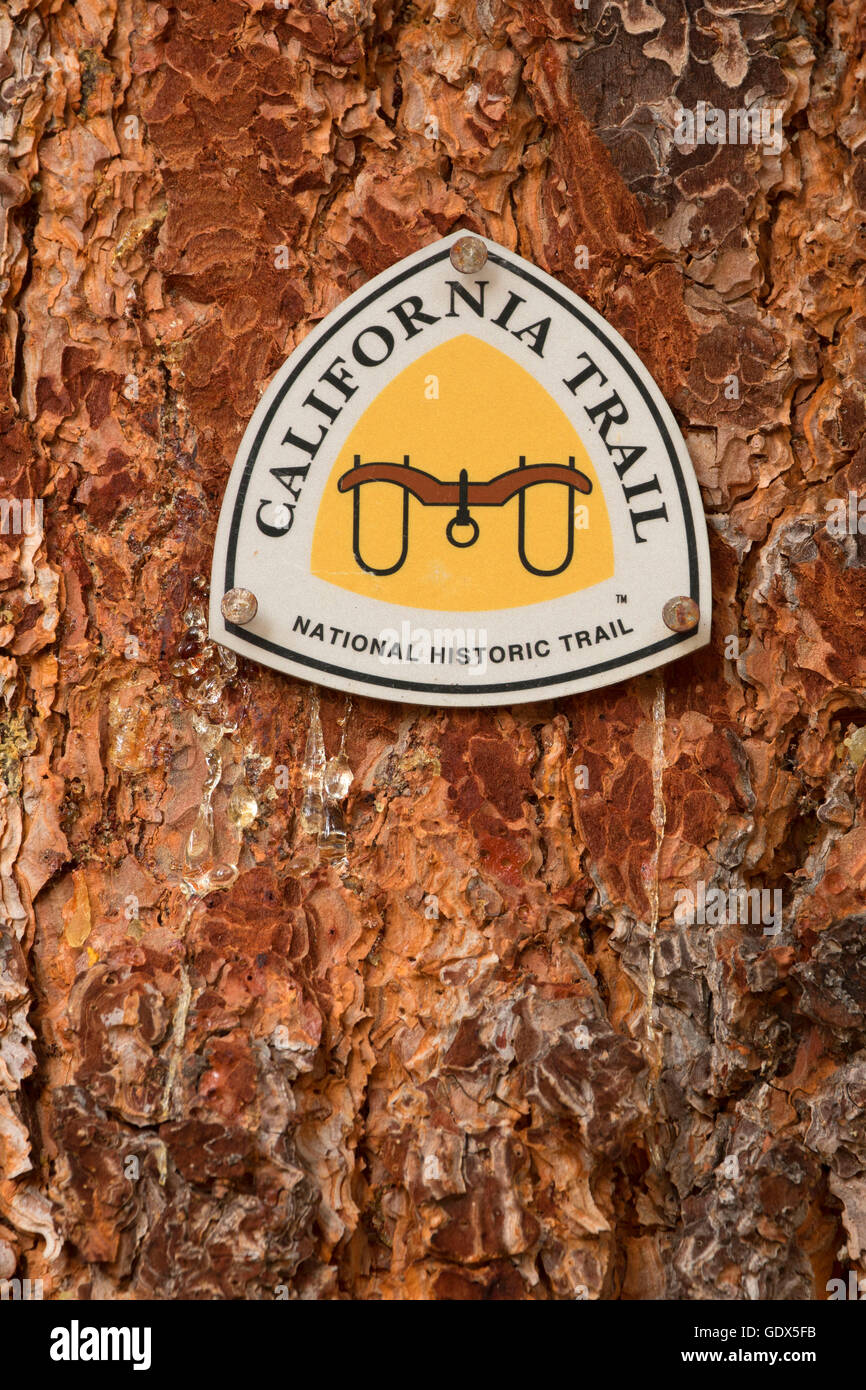 Trail marker along Snowshoe Thompson Trail, Toiyabe National Forest ...