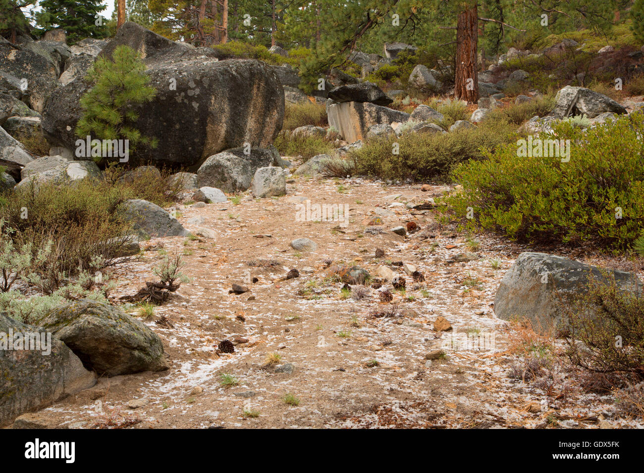 California Trail route at Snowshoe Thompson Trail, Toiyabe National ...