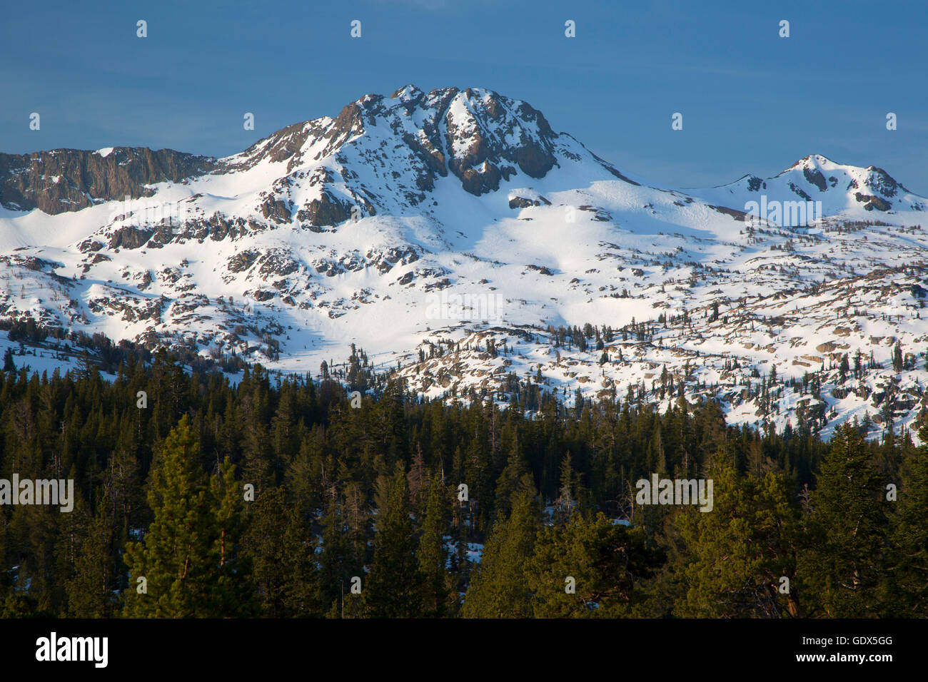 Sierra crest slope from Pacific Crest Trail, Carson Pass National ...