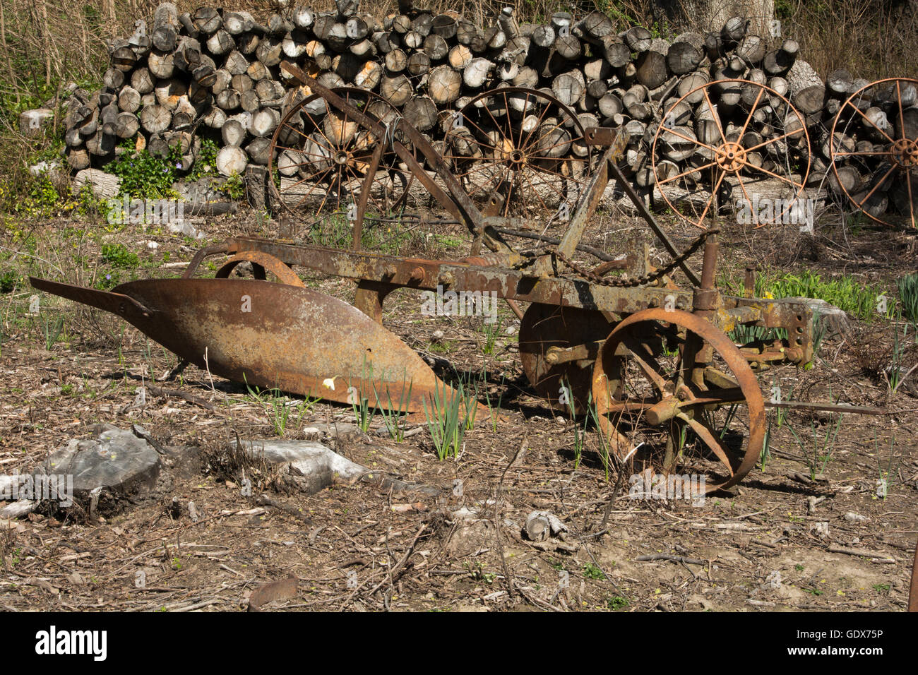 This plow is a reminiscent of the big Otago Gold Rush in New Zealand ...