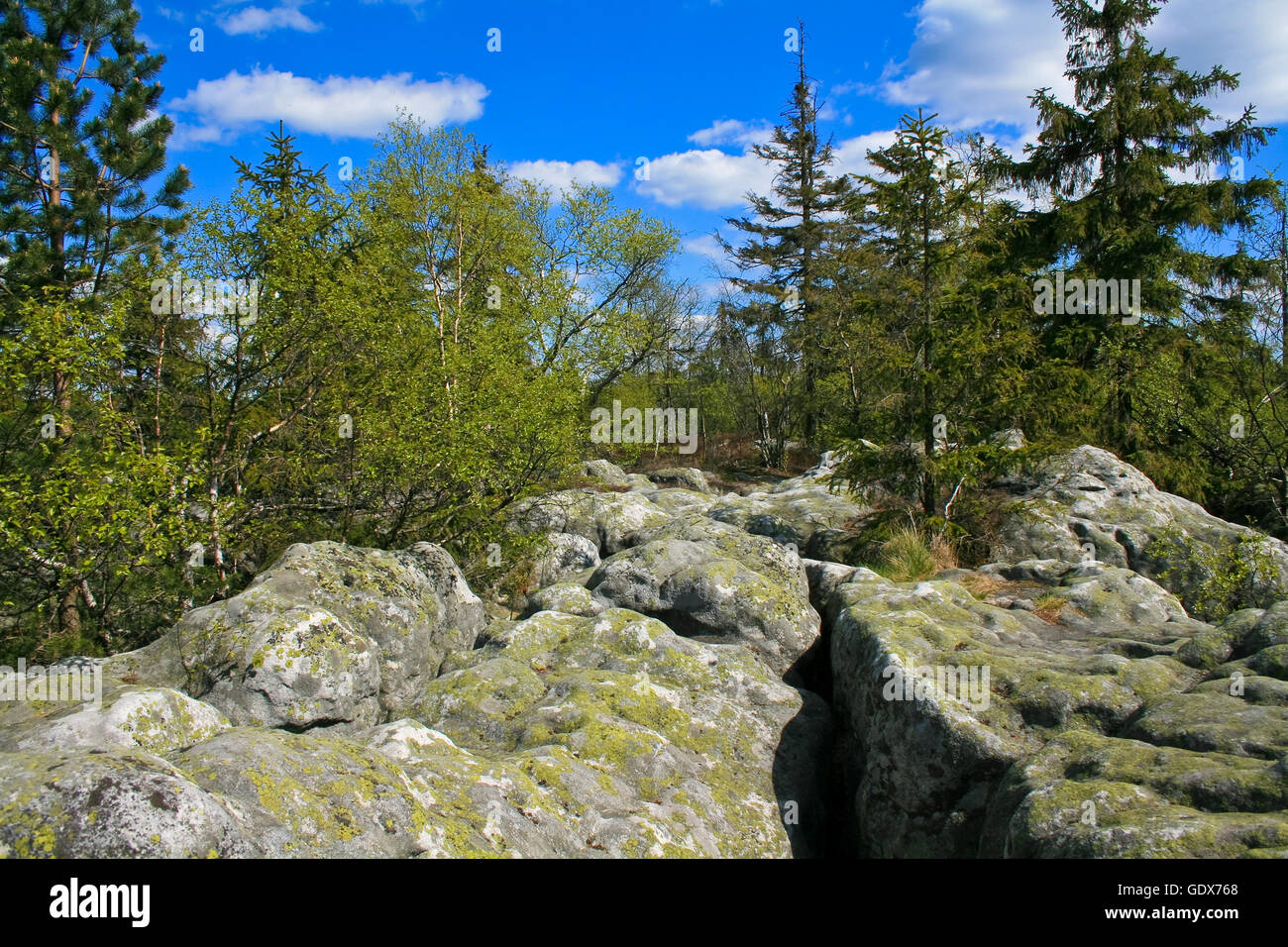 Table Mountains in Sudetes, Poland Stock Photo - Alamy