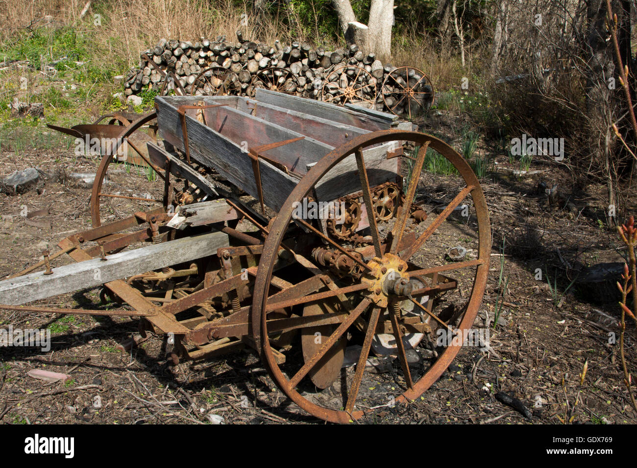 Otago gold rush hi-res stock photography and images - Alamy