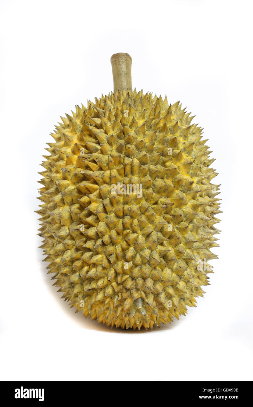 Durian isolated on white background Stock Photo - Alamy