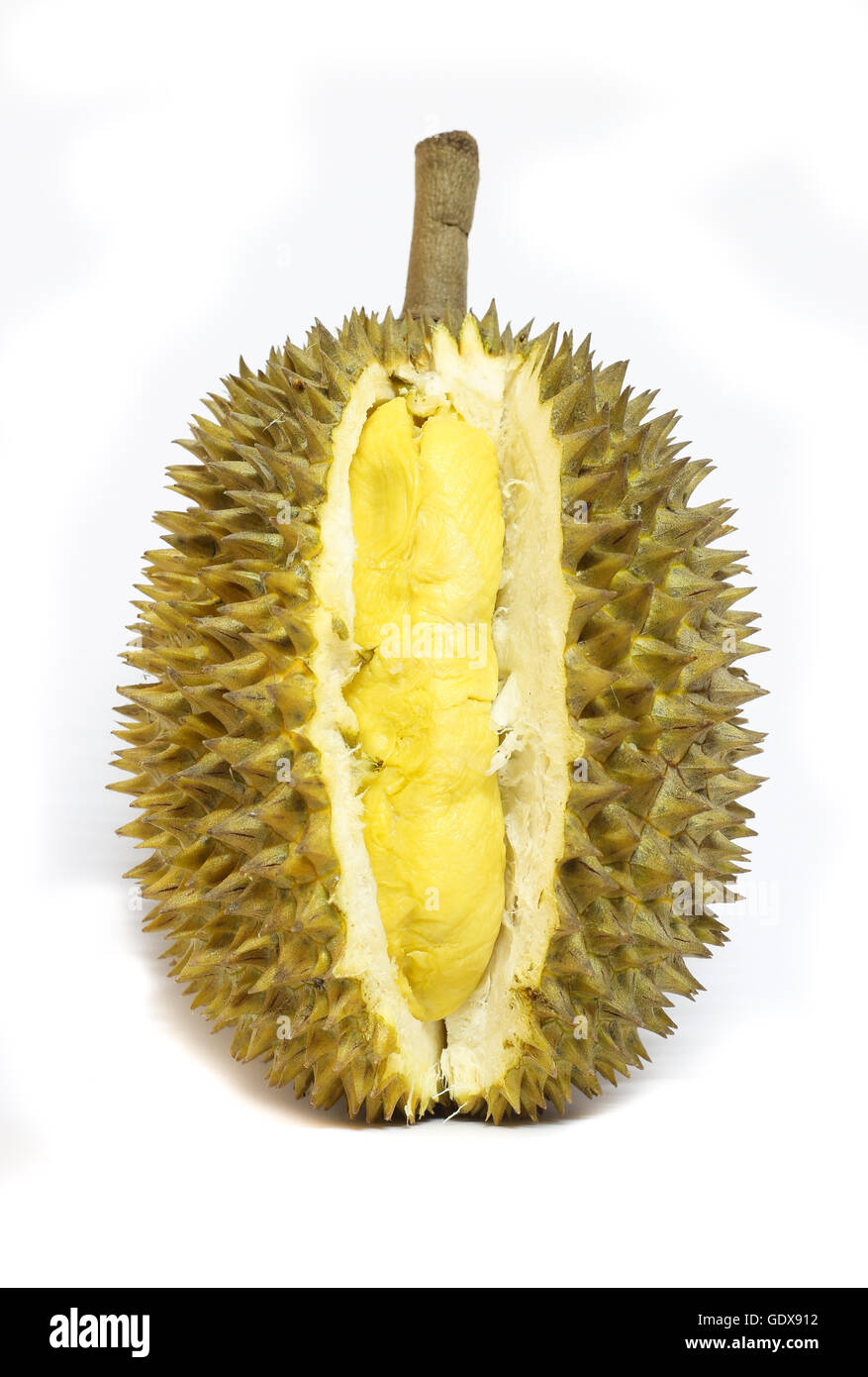 Durian isolated on white background Stock Photo - Alamy