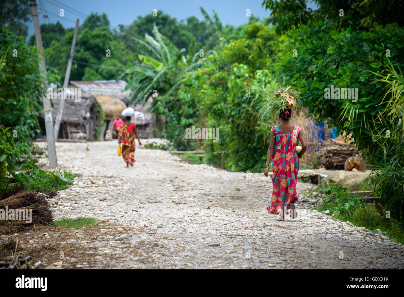 Tharu women in a small village in the Dang valley, Terai, Nepal Stock ...