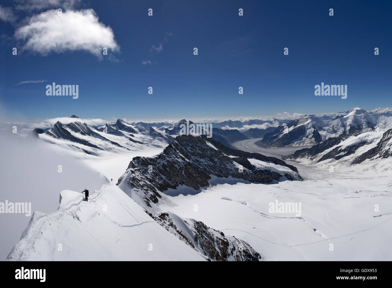 geography / travel, Switzerland, On the ridge of Monch (4107m ...