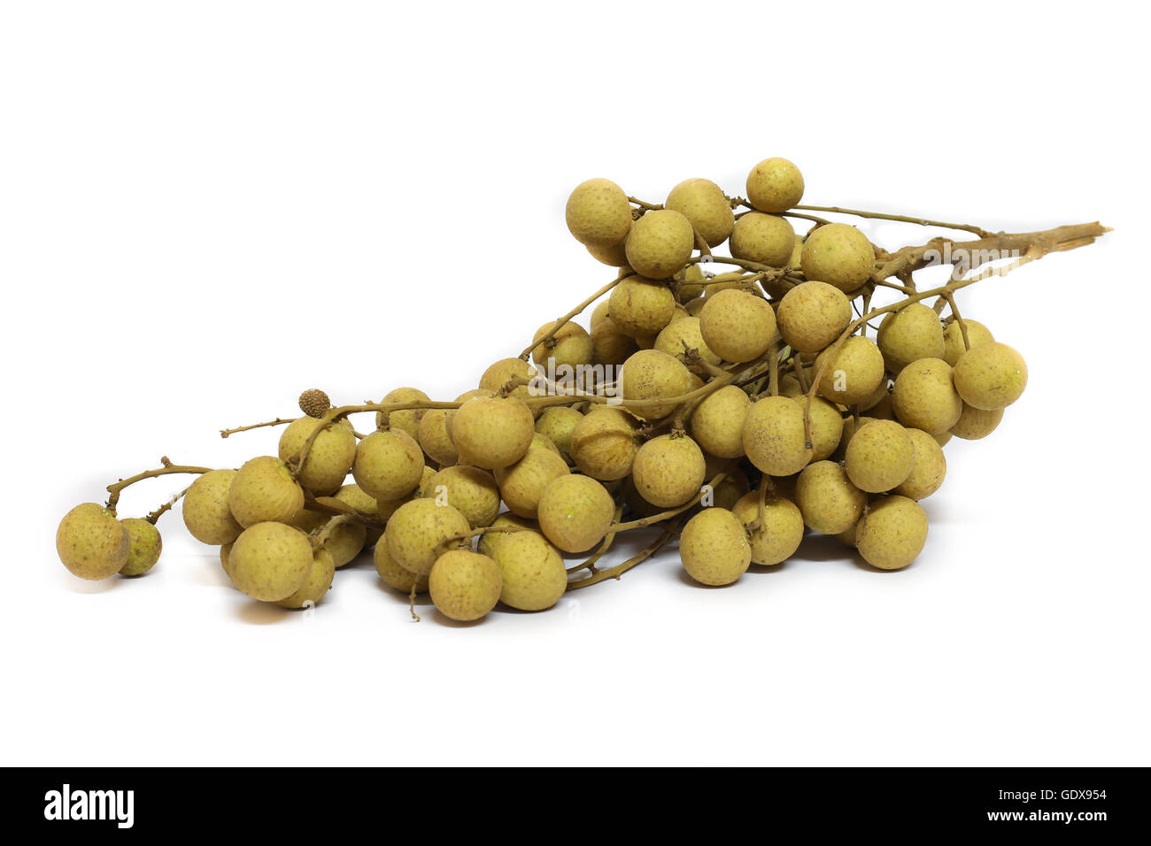 longan. fresh longan on white background Stock Photo - Alamy