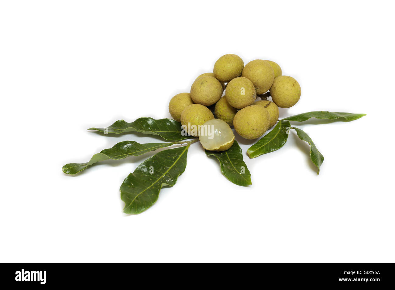 longan. fresh longan on white background Stock Photo - Alamy