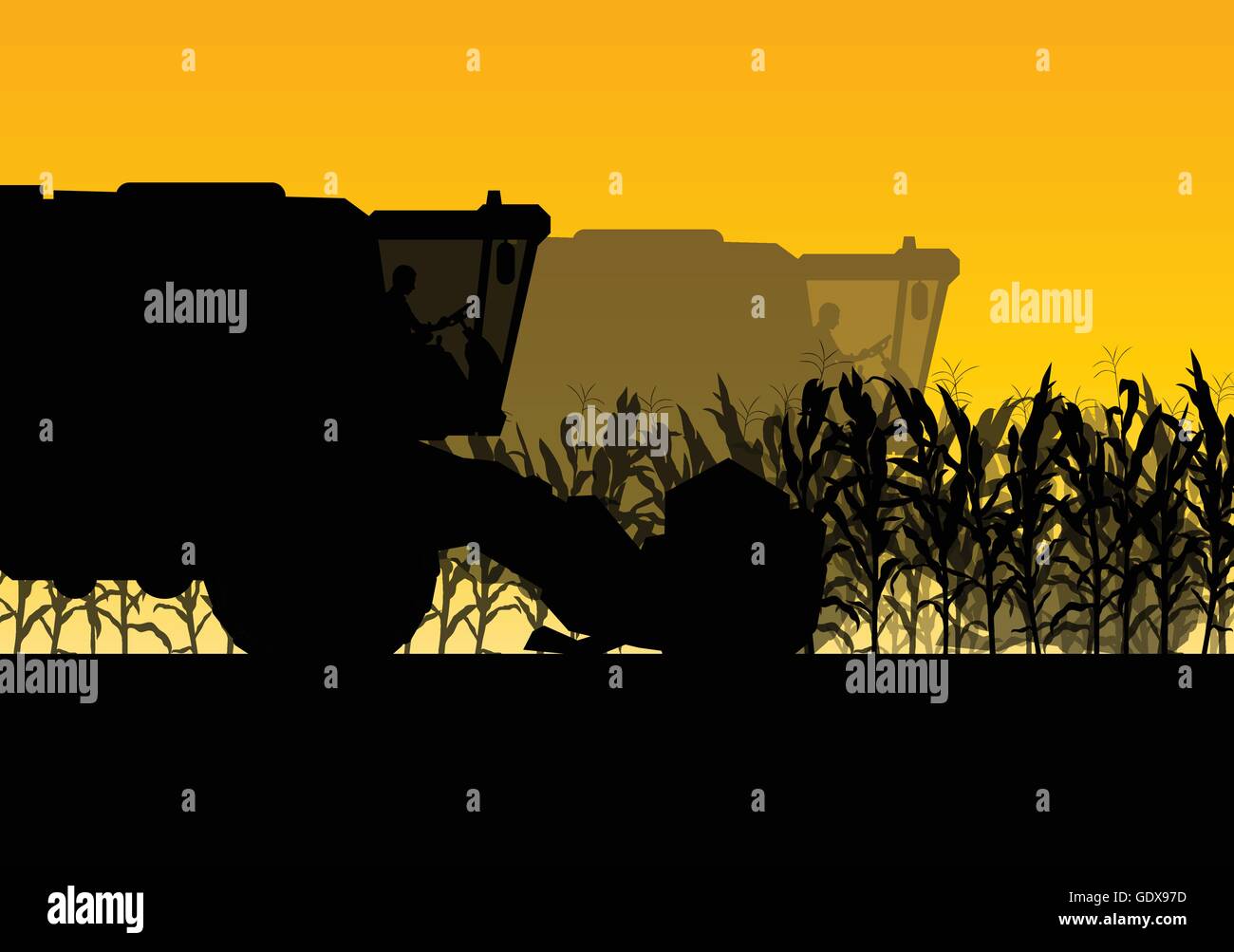 Corn field harvesting with combine harvester yellow abstract rural ...