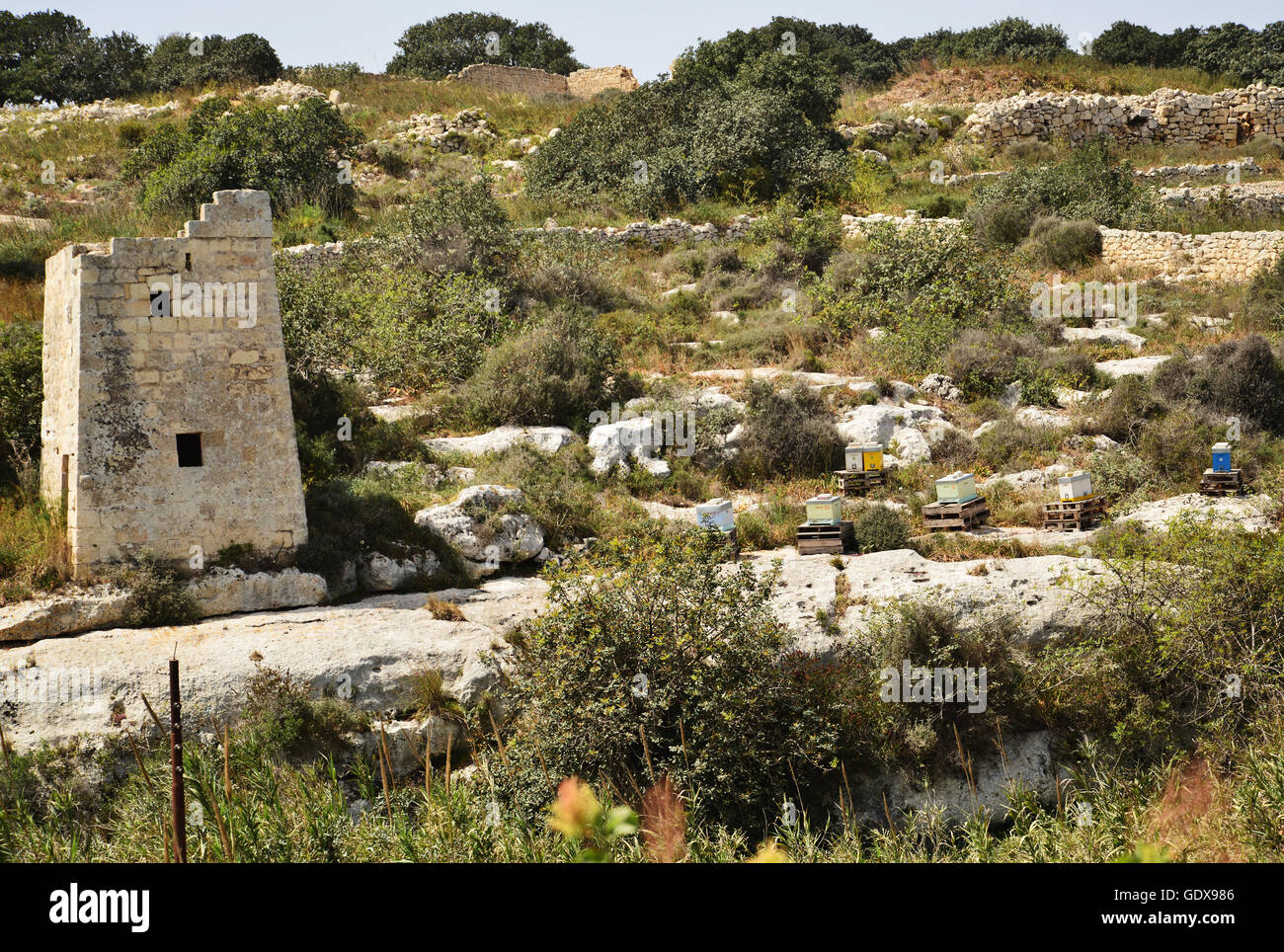 Għar Dalam Valley Stock Photo - Alamy