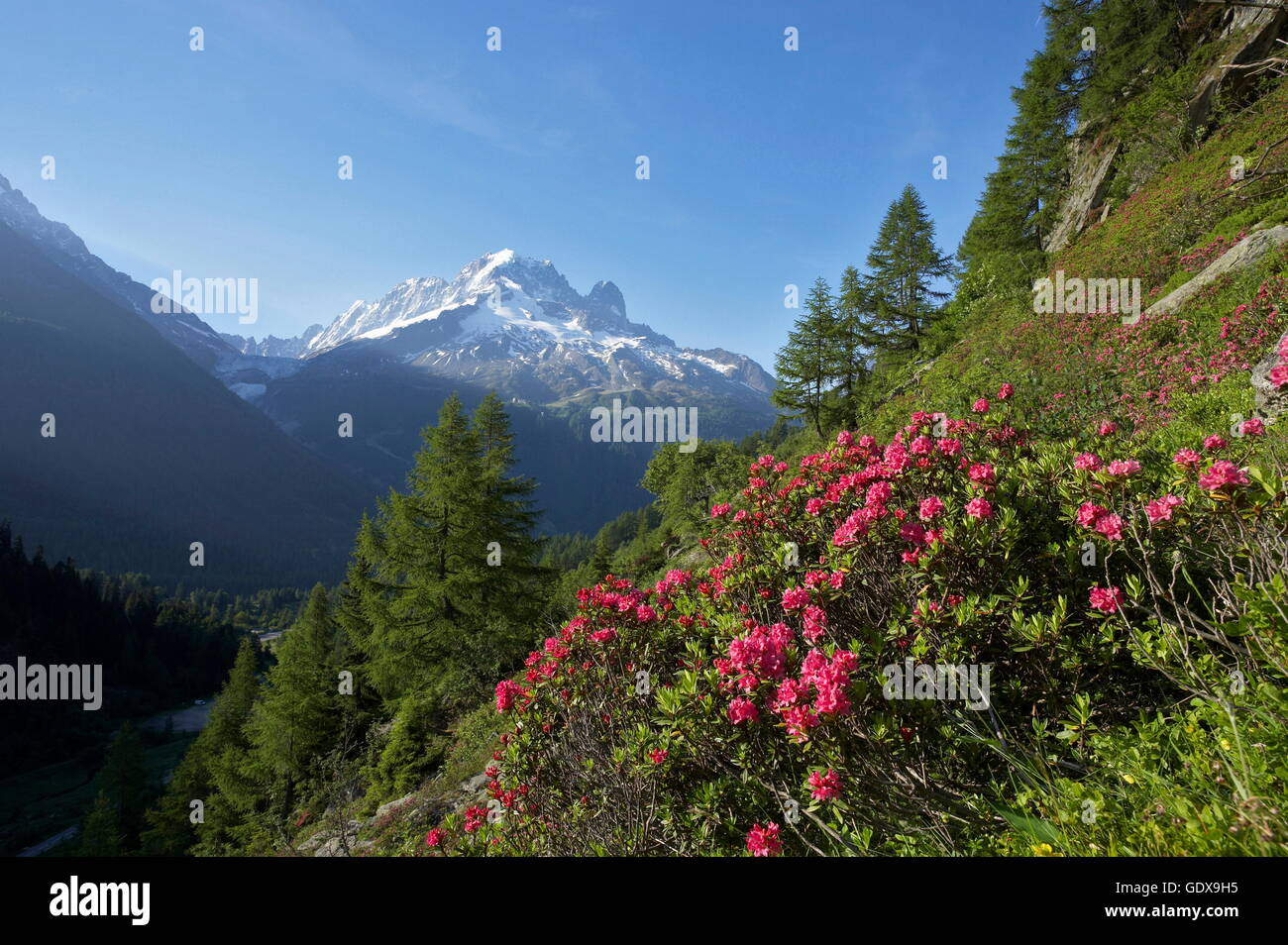 The montets pass hi-res stock photography and images - Alamy