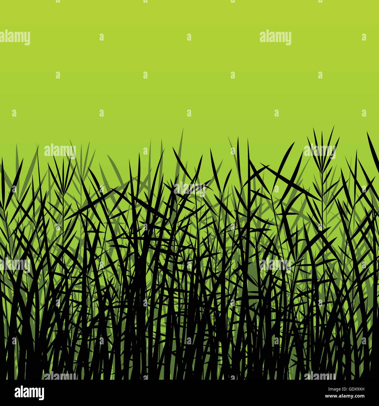 Grass, reed and wild plants detailed silhouettes illustration ...