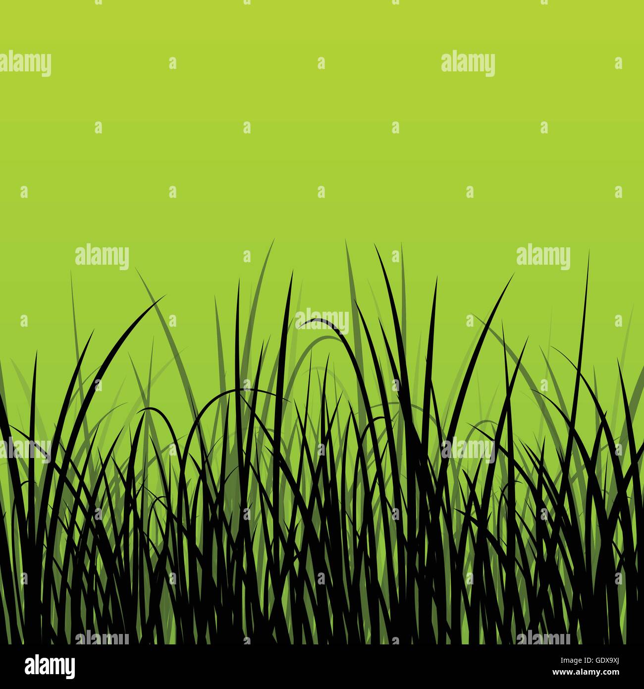 Grass, reed and wild plants detailed silhouettes illustration ...