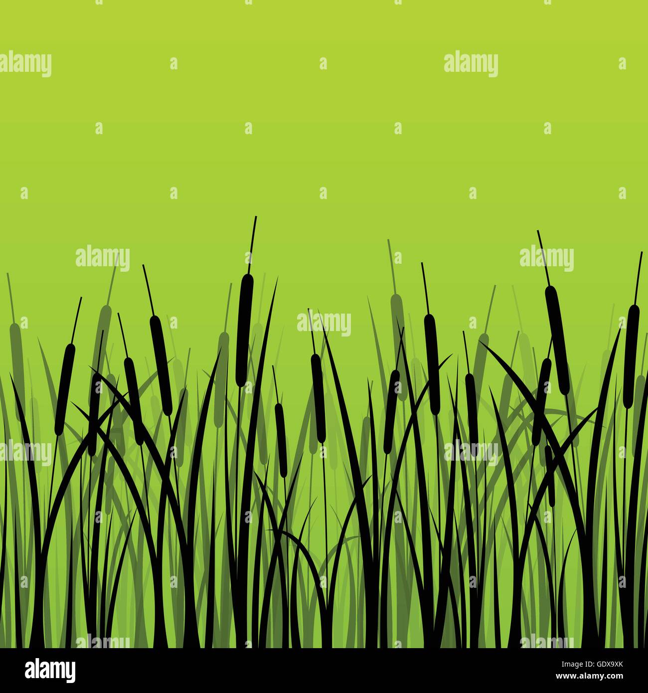 Reed silhouettes background Stock Vector Images - Alamy