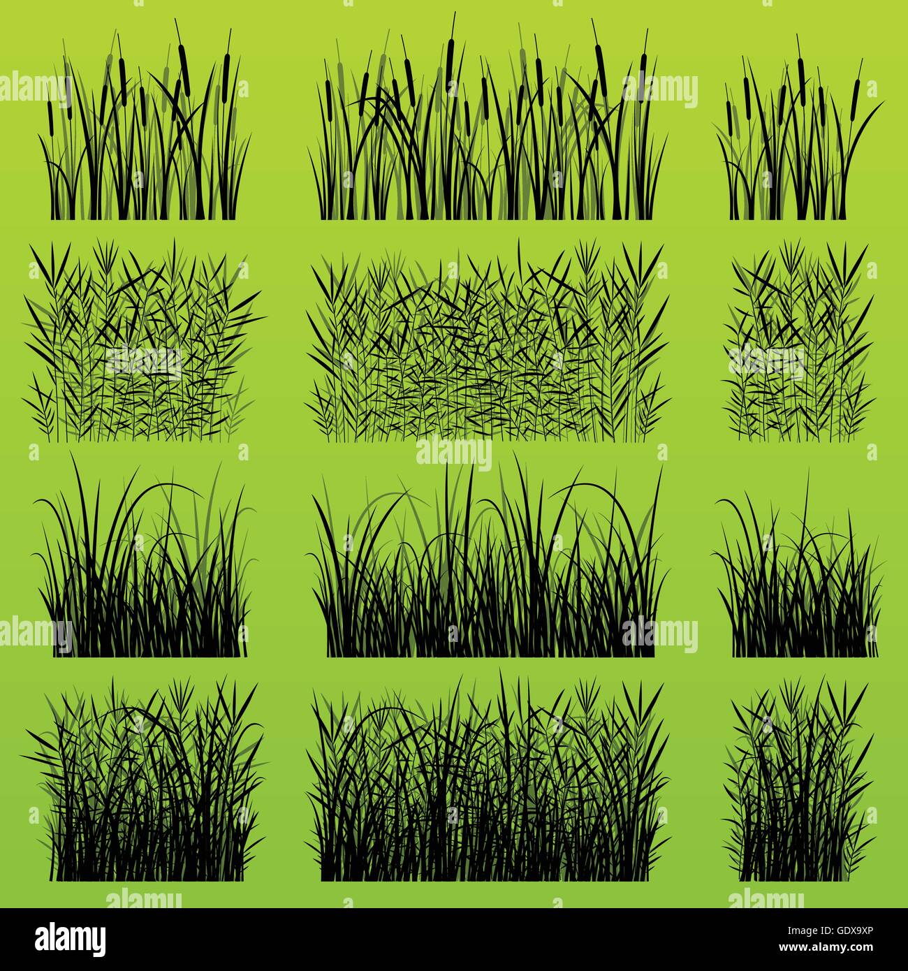 Grass, reed and wild plants detailed silhouettes illustration ...