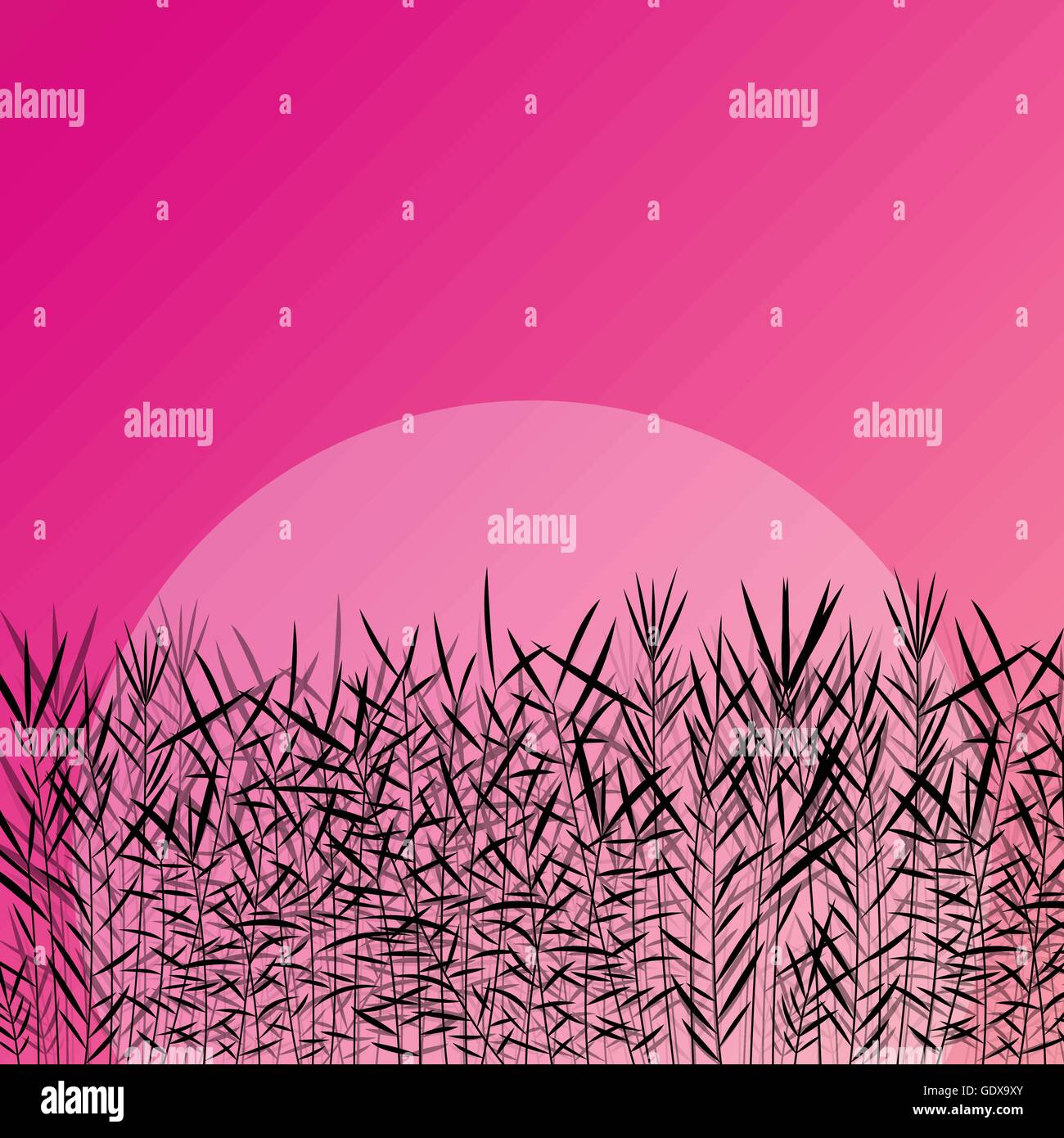 Lake reed and wild water plants detailed silhouettes outdoor ...