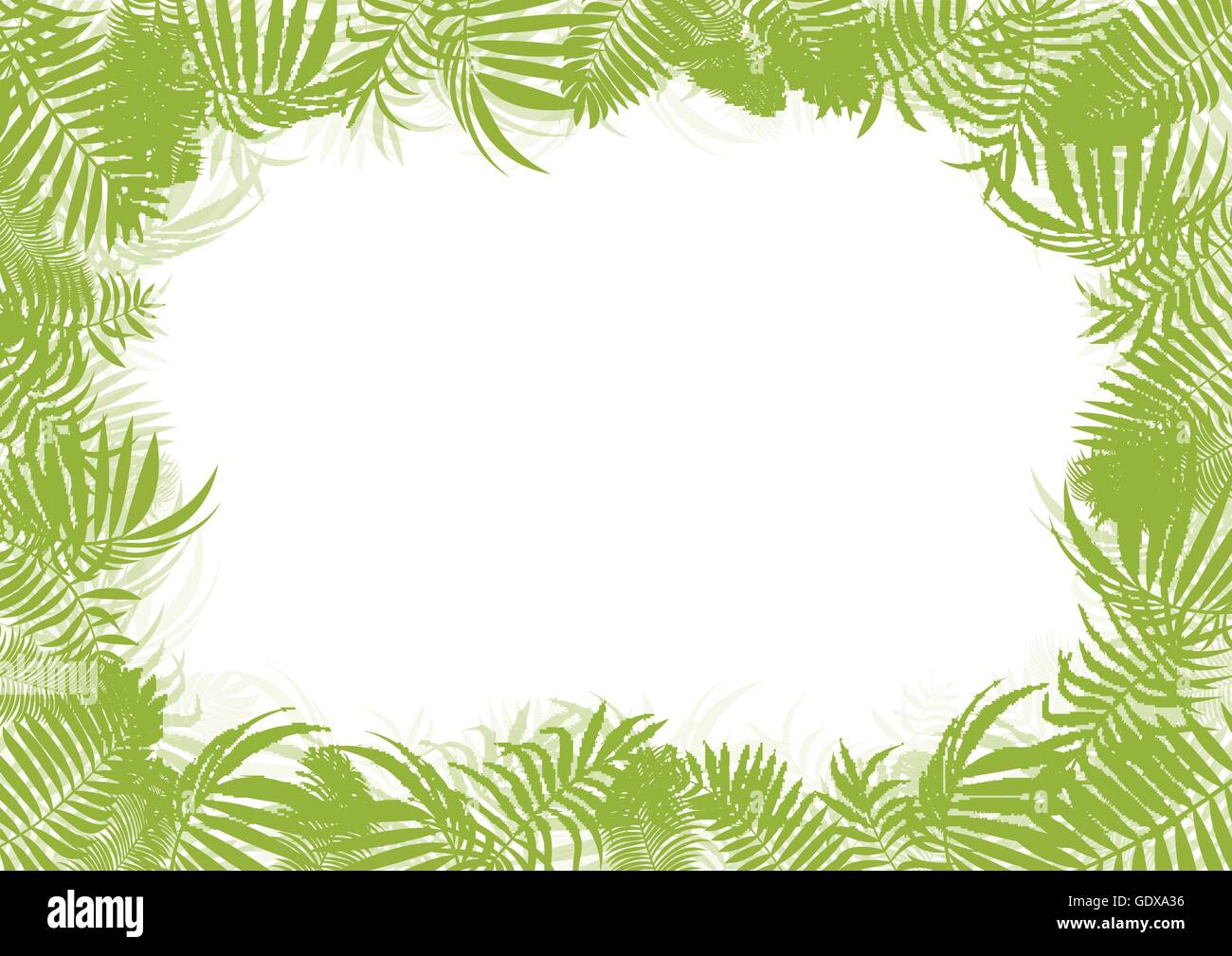 Tropical jungle rain forest vector background blank frame template ...