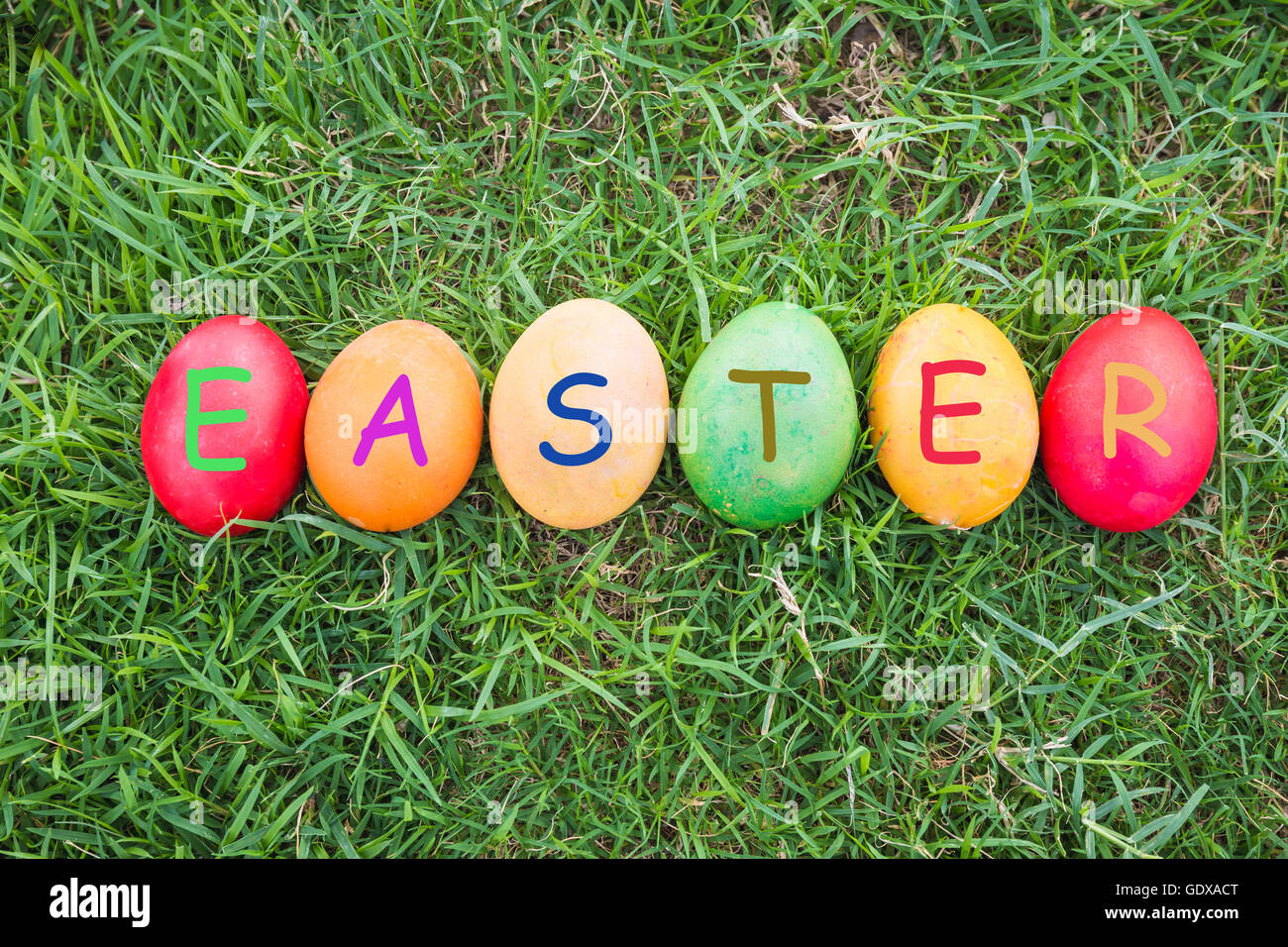Row of Colorful Easter Eggs with Daisy on Fresh Green Grass Stock Photo ...