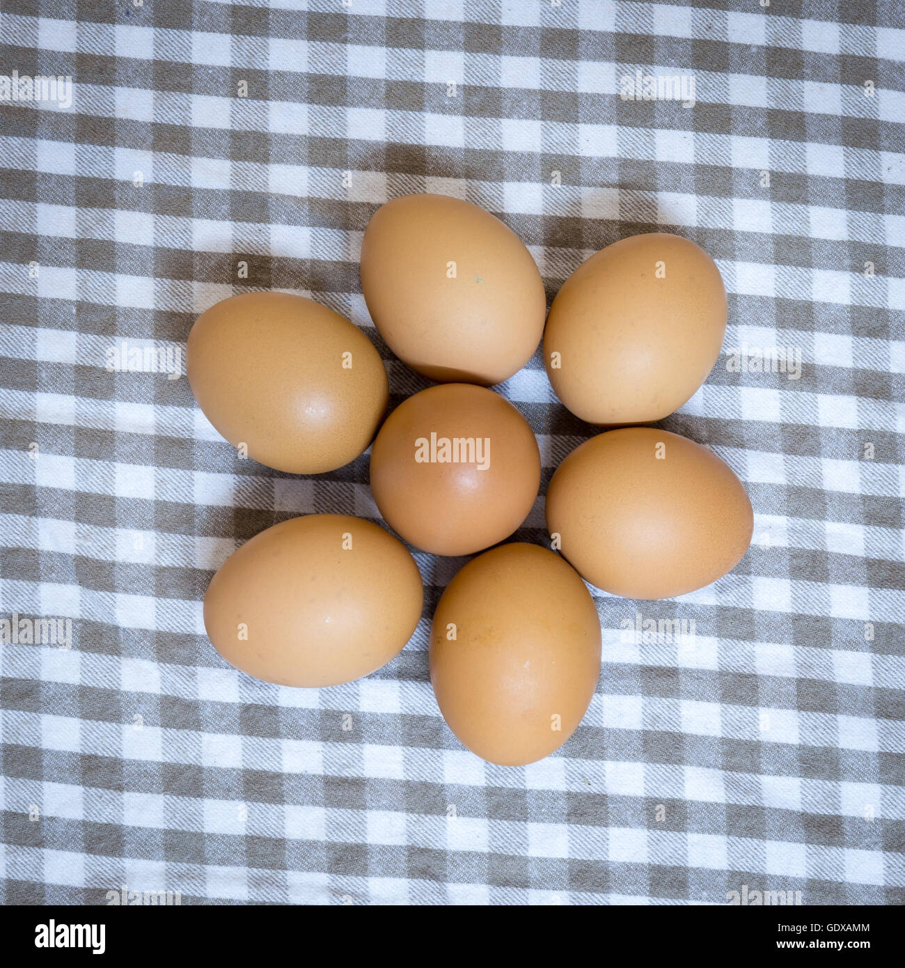 Egg group hi-res stock photography and images - Alamy
