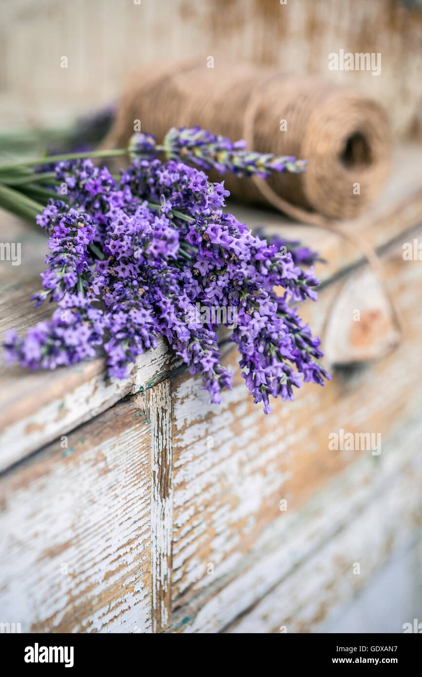 Fresh background flower hi-res stock photography and images - Alamy